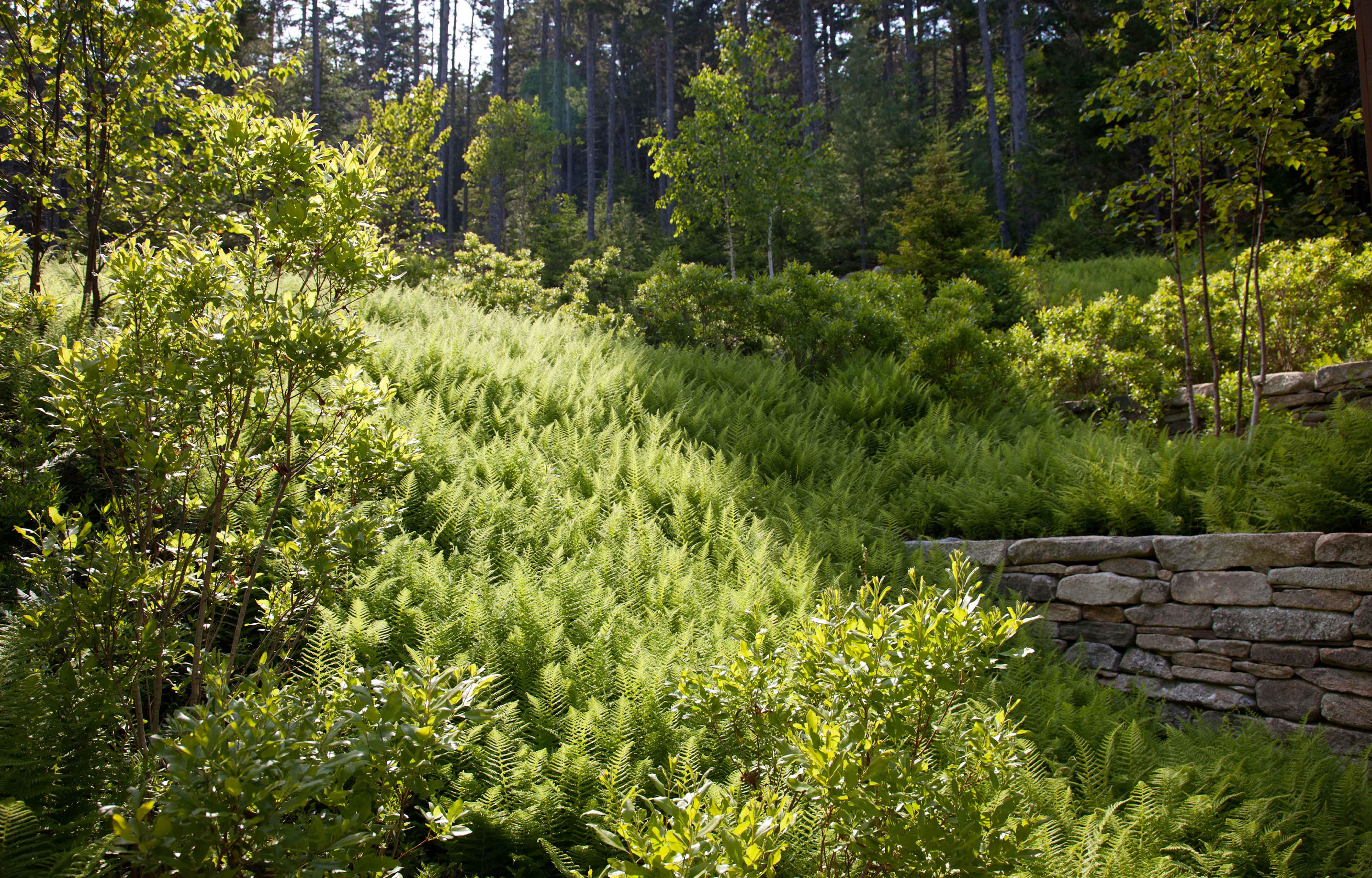 Matthew Cunningham Landscape Design LLC