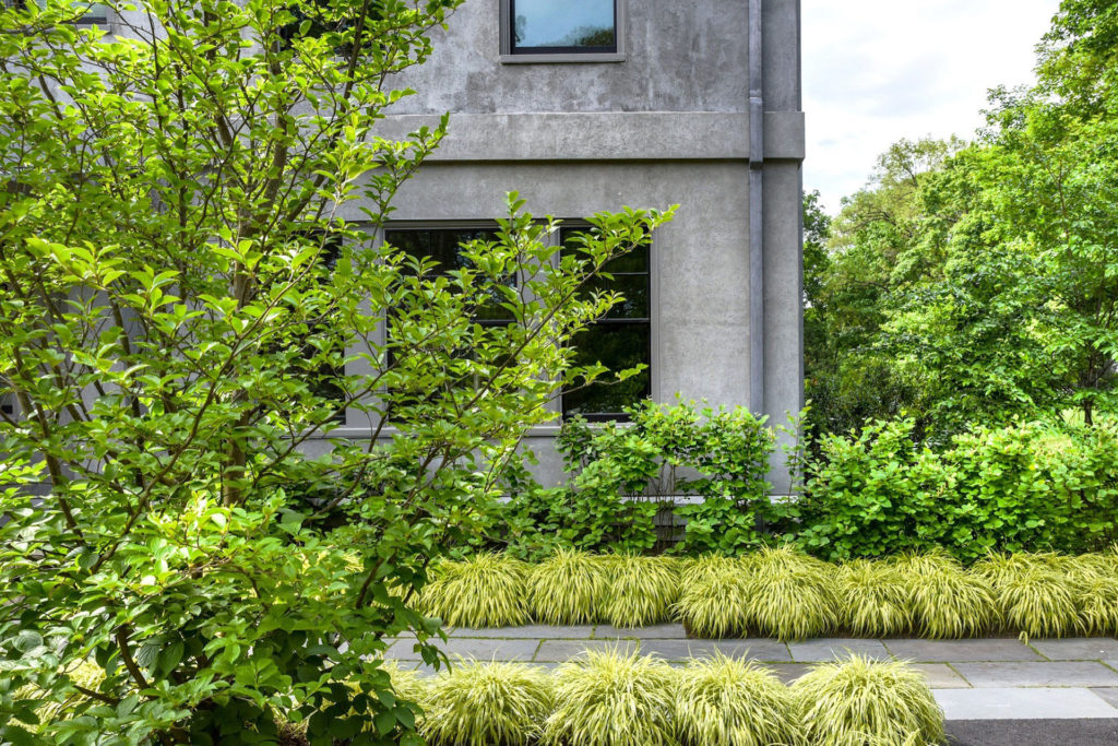 41-Matthew-Cunningham-Landscape-Design-Beech-Ledge – Matthew Cunningham ...