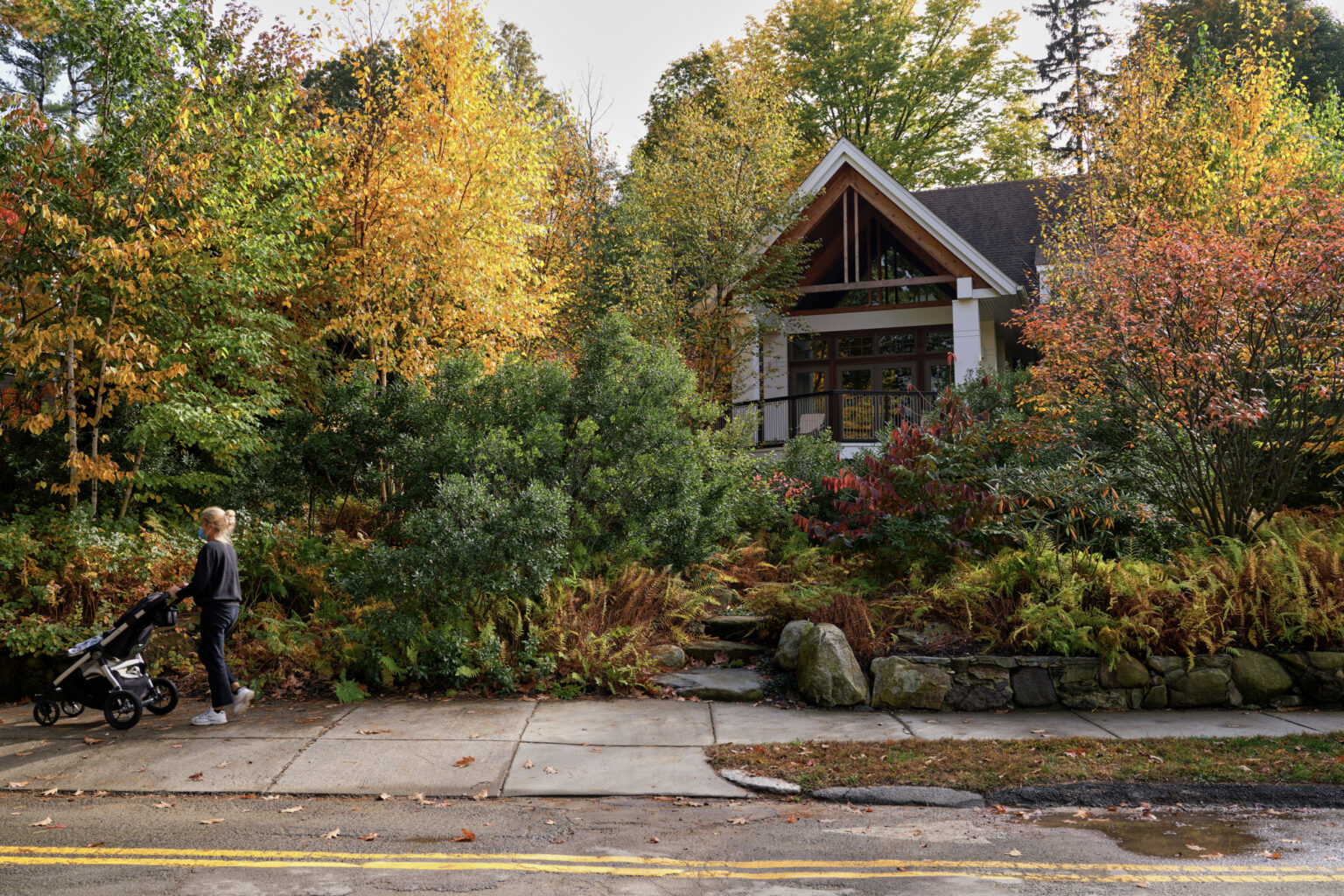 Suburban Jungle – Matthew Cunningham Landscape Design LLC