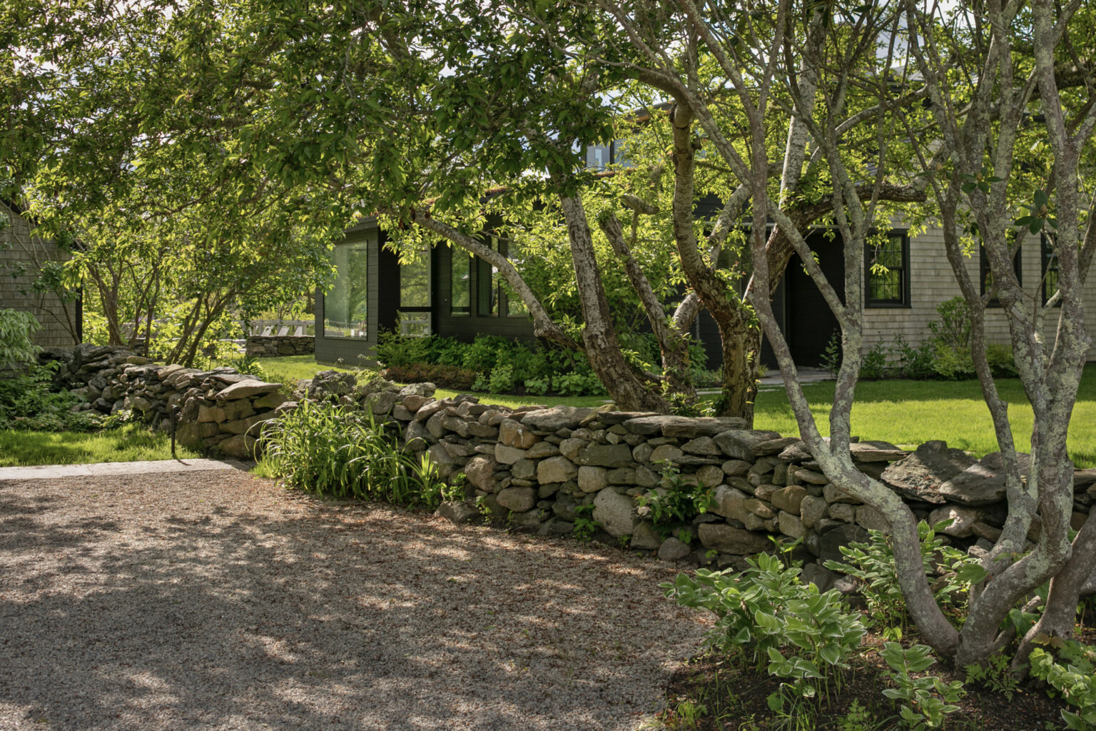 Reimagined Remnant – Matthew Cunningham Landscape Design LLC