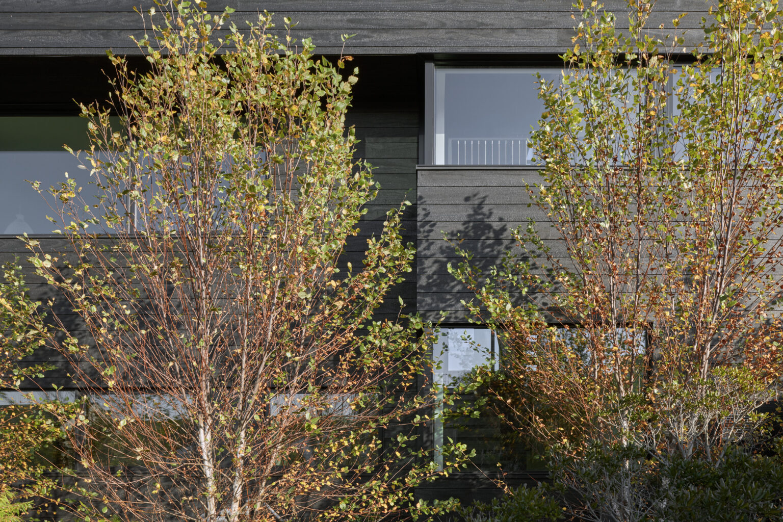 Long Beach – Matthew Cunningham Landscape Design LLC