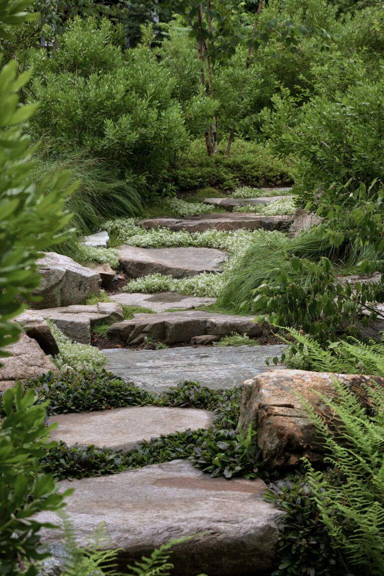Suburban Jungle – Matthew Cunningham Landscape Design LLC